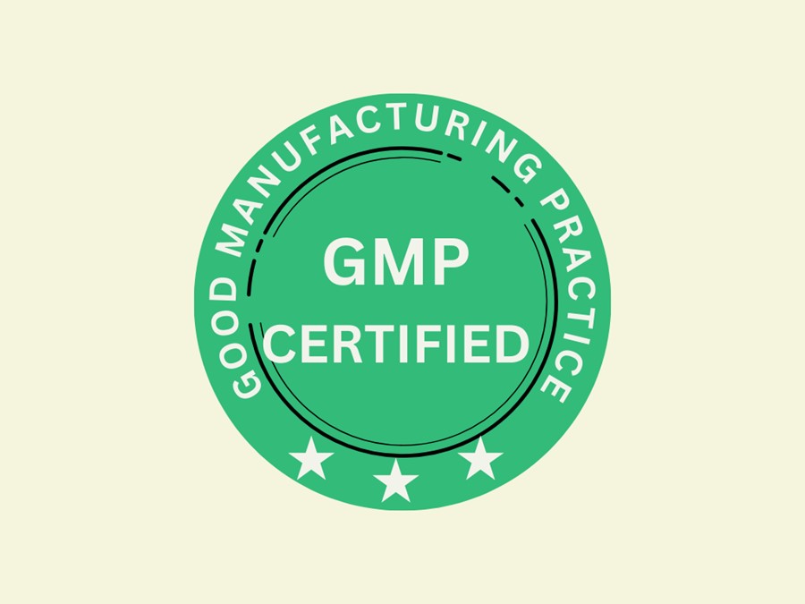 What is Good Manufacturing Practices (GMP) in the Chemical Industry
